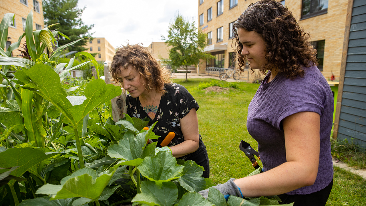 Zimmermann explores community gardens and food insecurity in summer research program | UW ...